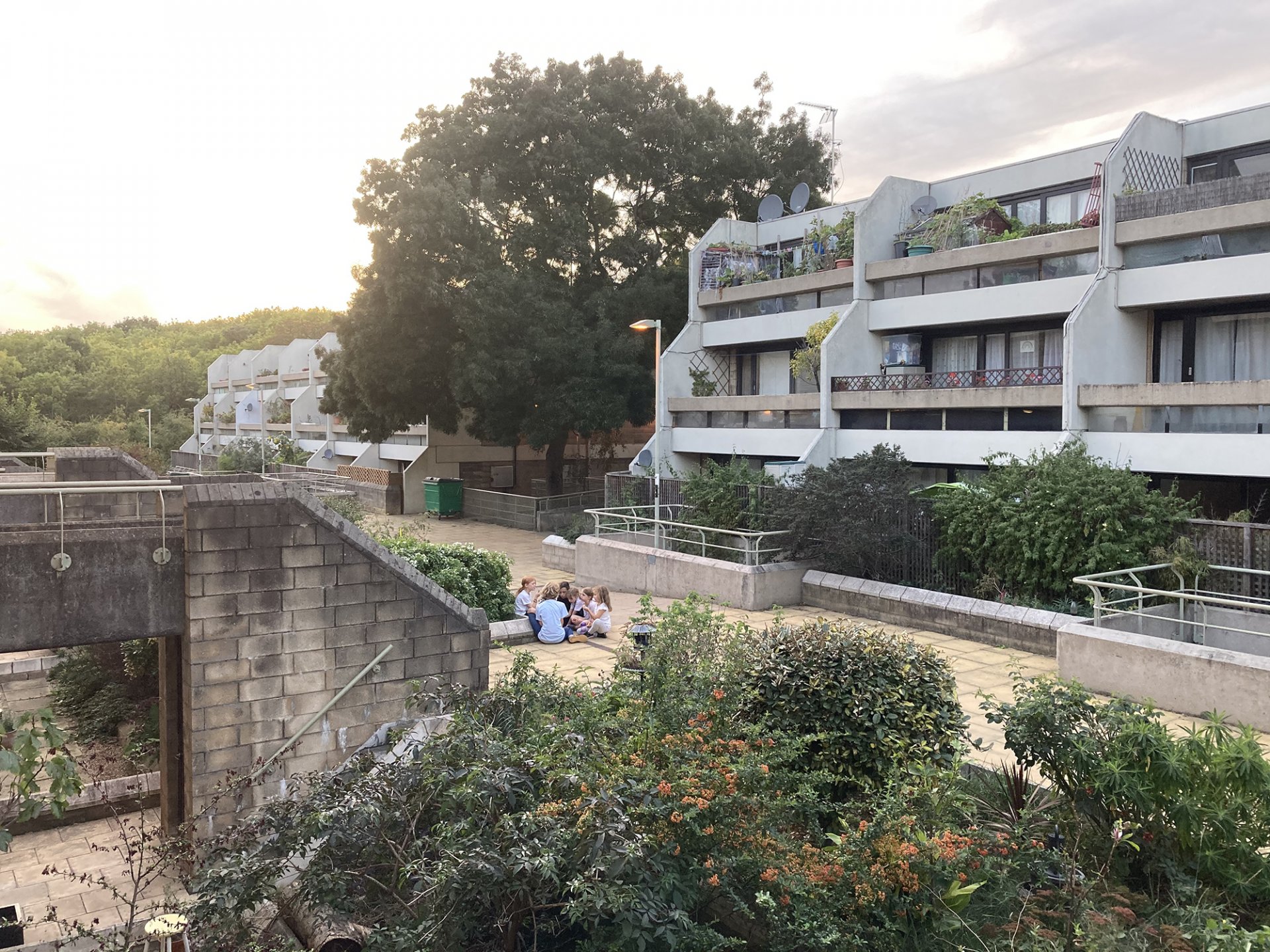 Home | David Miller Architects